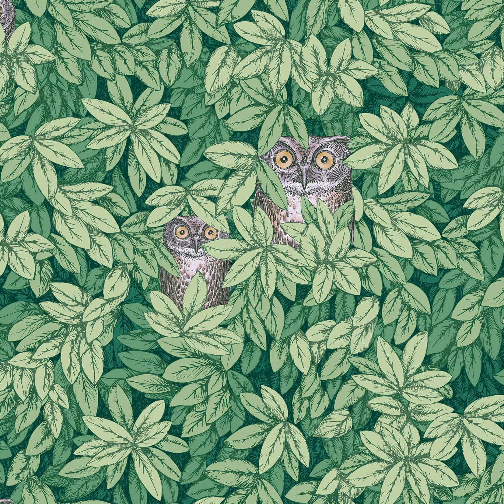 123/11054.CS.0 Cole & Son Fornasetti Senza Tempo II Foglie E Civette Wallpaper - Green – US Wall ...