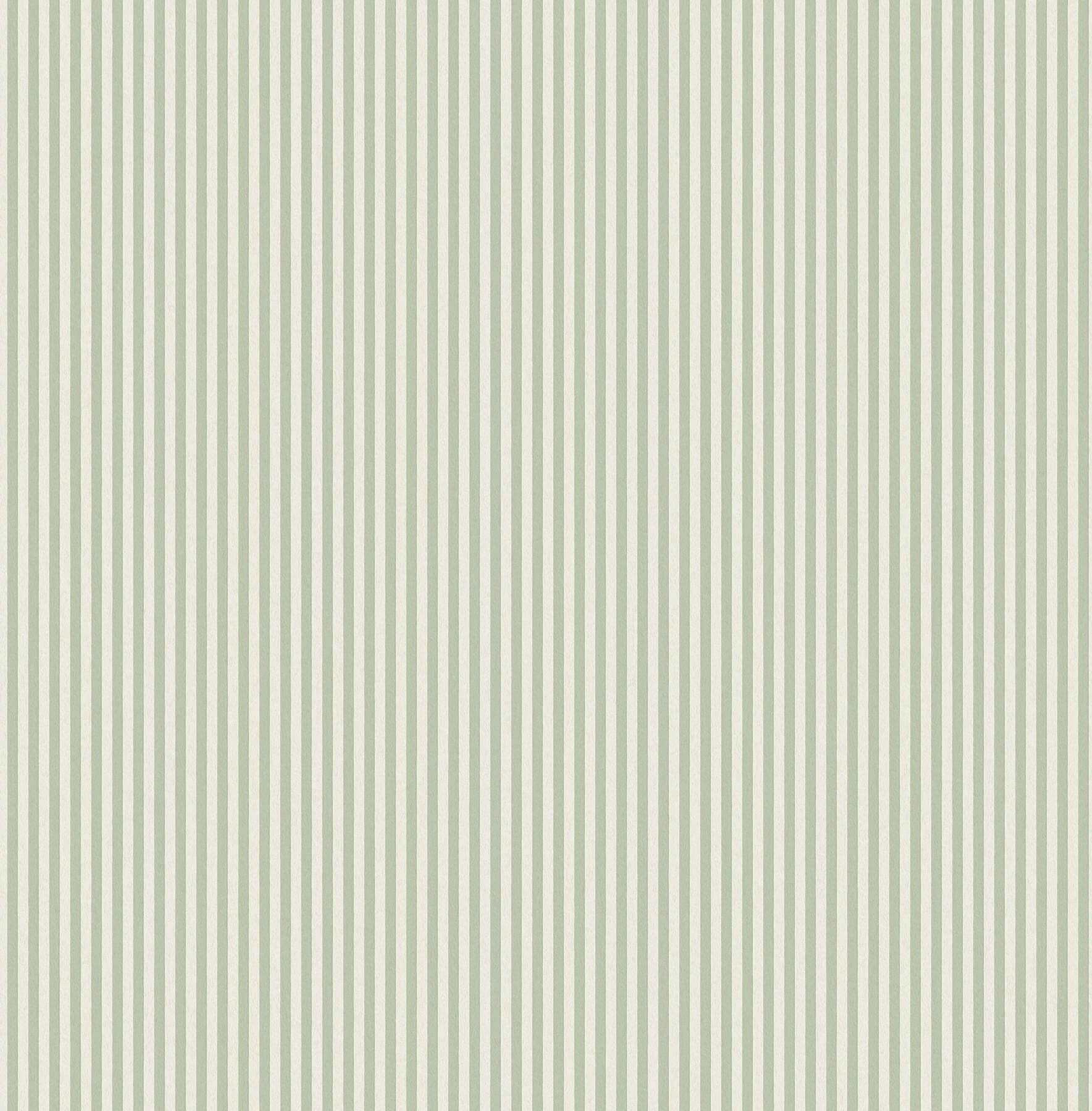 Light Green Stripe Pattern Amazon.com: Light Green Striped Jacquard