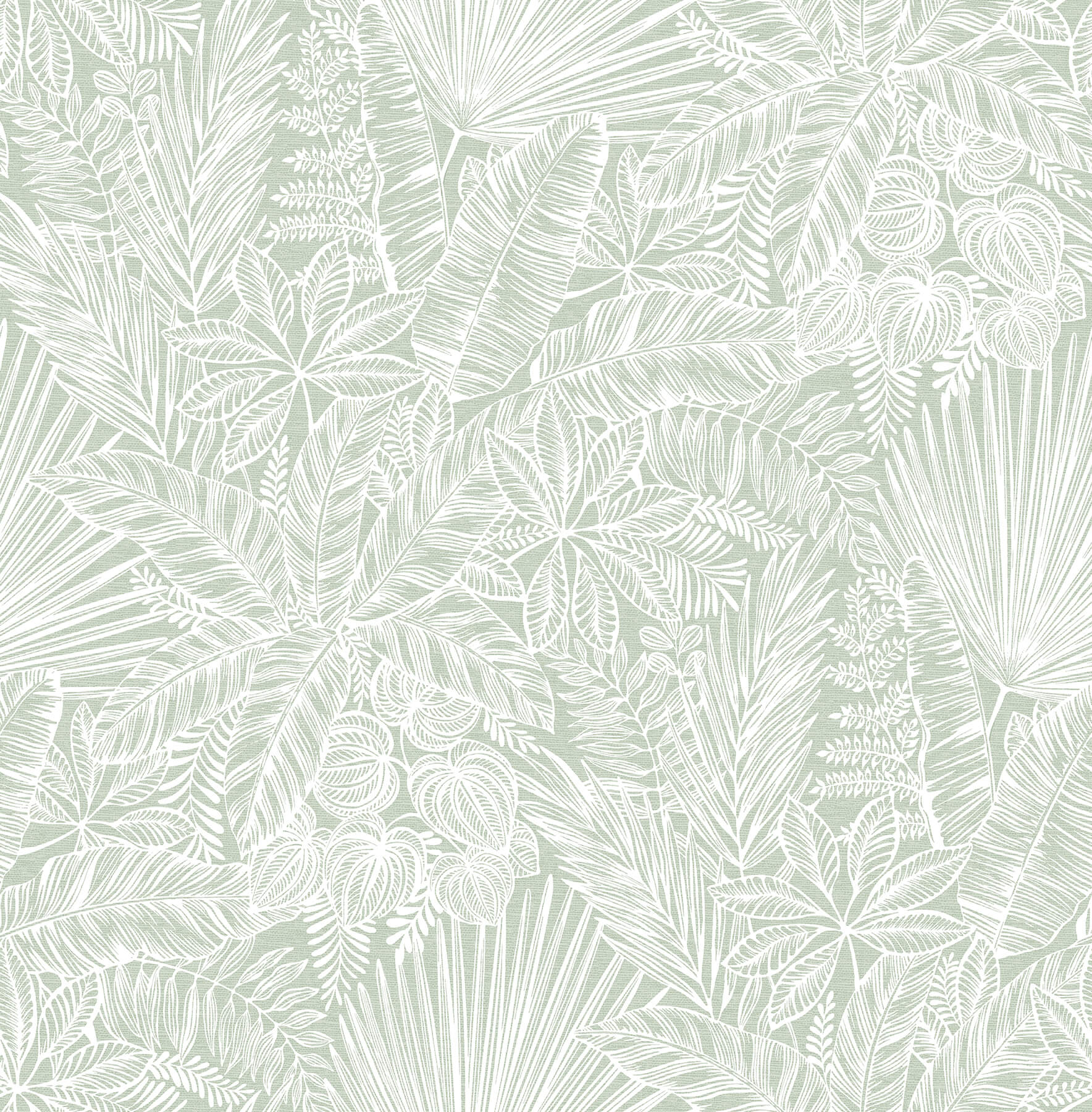 A-Street Prints Middleton Vita Wallpaper - Sage – US Wall Decor