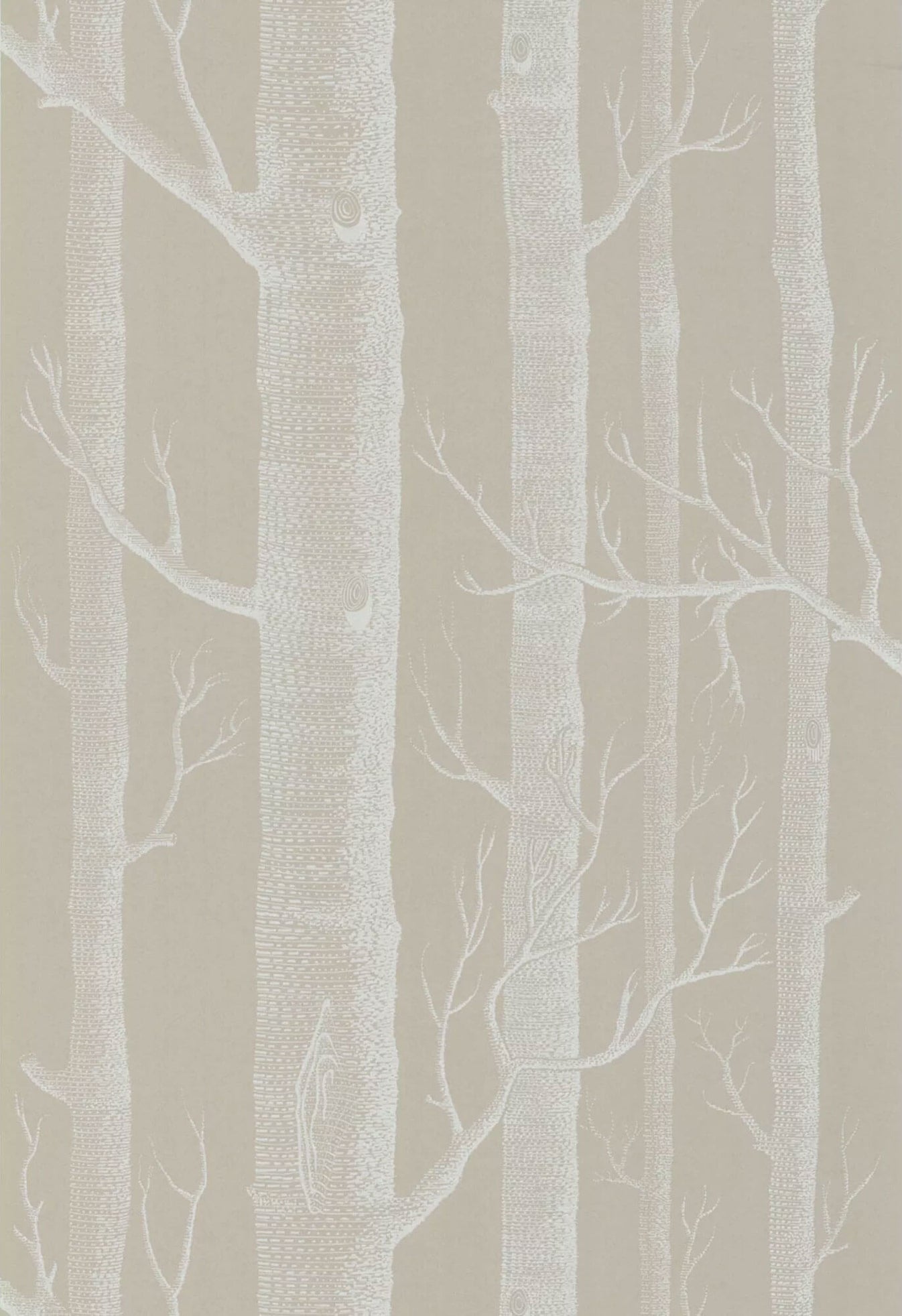 69/12149.CS.0 Cole & Son Woods Wallpaper - White & Taupe – US Wall Decor