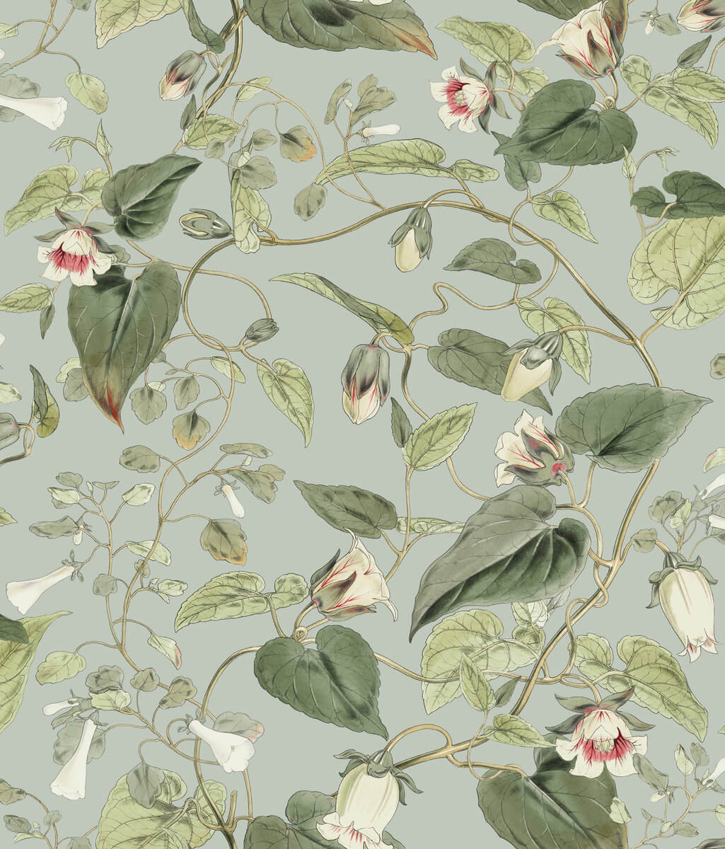 York Blooms Second Edition Collection Wallpaper - SAMPLE – US Wall Decor