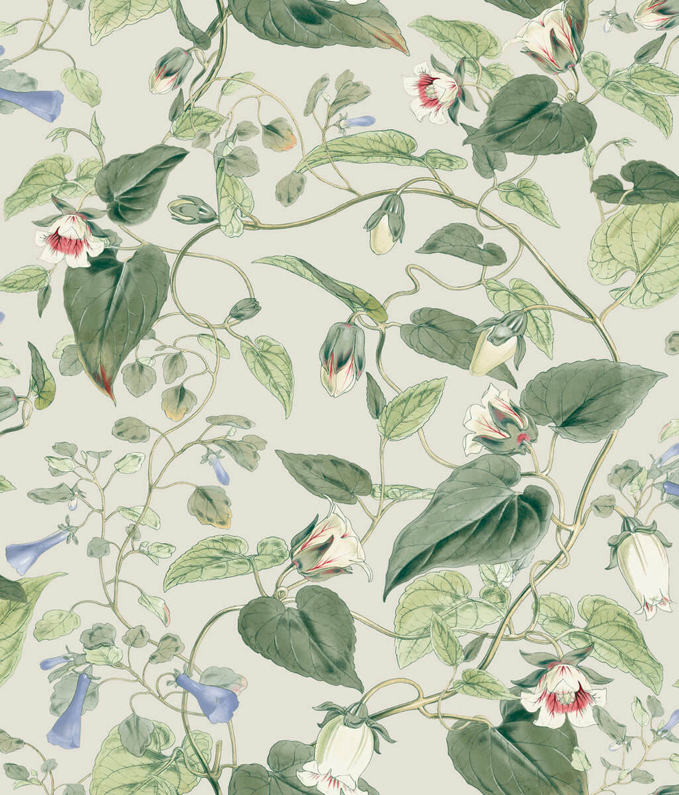 York Blooms Second Edition Collection Wallpaper - SAMPLE – US Wall Decor