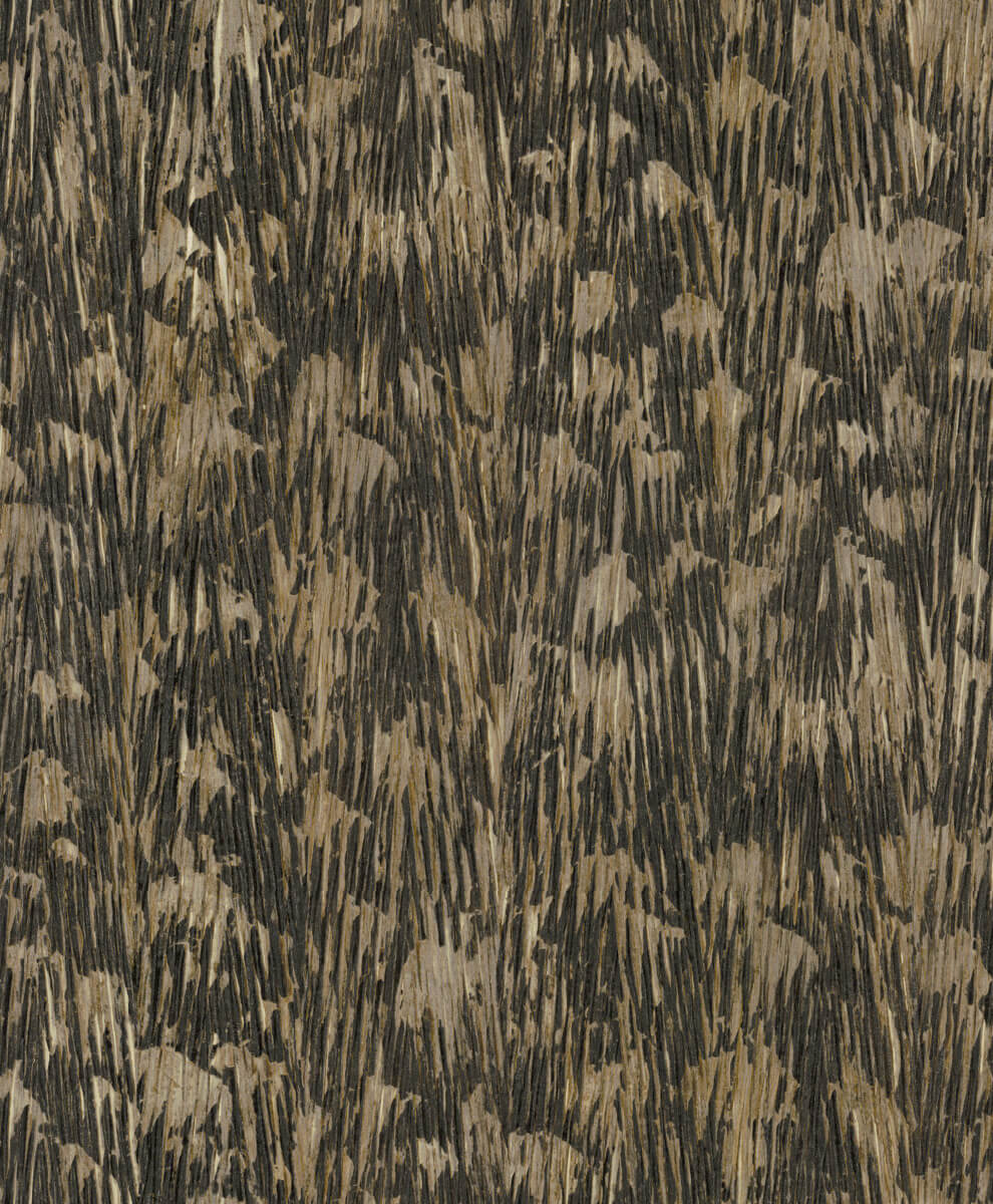 FM1004 York Formations Gilded Plume Wallpaper - Black – US Wall Decor
