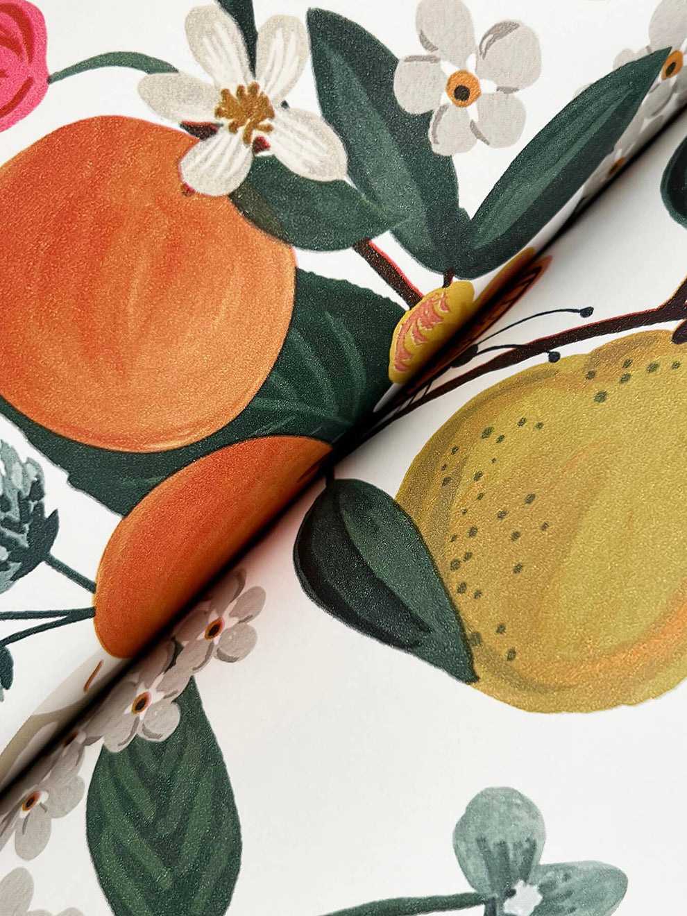 RF7404 Rifle Paper Co. 3rd Edition Flower Studies Wallpaper - Rose – US ...