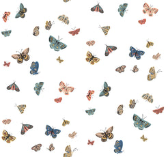 Rifle Paper Co. Third Edition Collection Wallpaper - SAMPLE – US Wall Decor