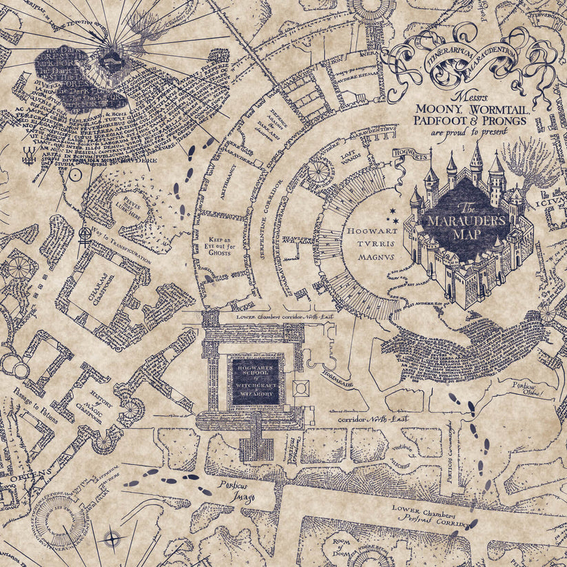 RMK12436RL Harry Potter Marauder's Map Peel & Stick Wallpaper - Blue ...
