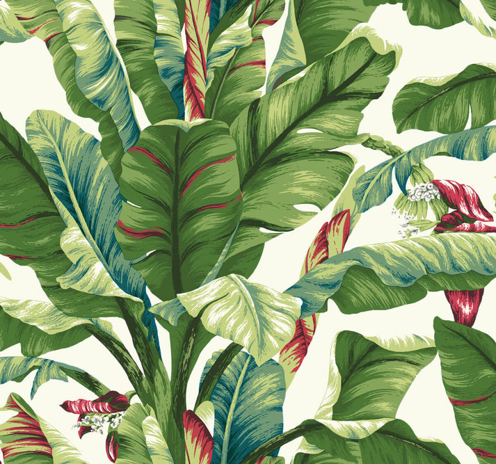 York Tropics Resource Library Banana Leaf Wallpaper - SAMPLE – US Wall ...