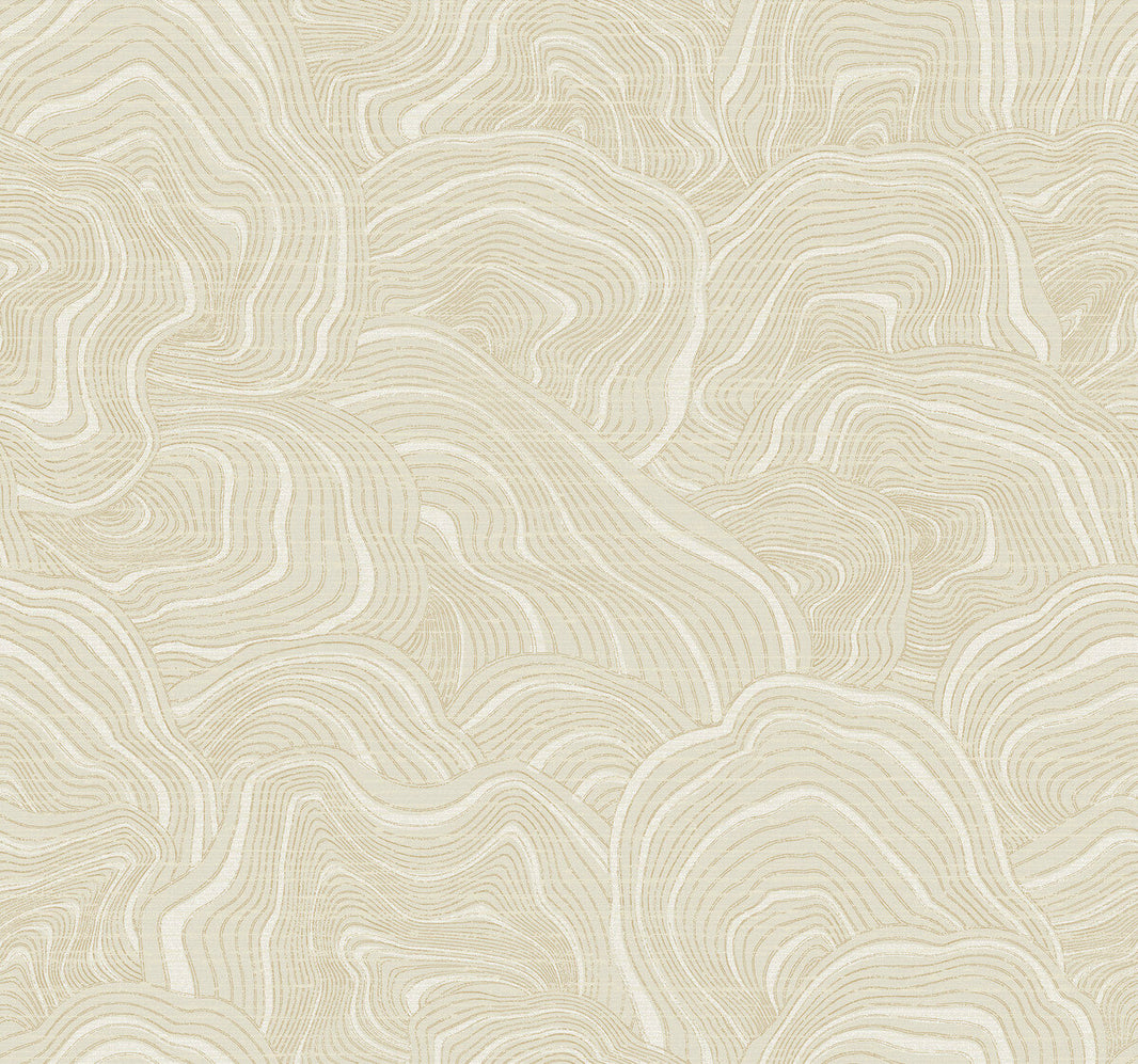 Shop Ronald Redding Designs Wallpaper at US Wall Decor